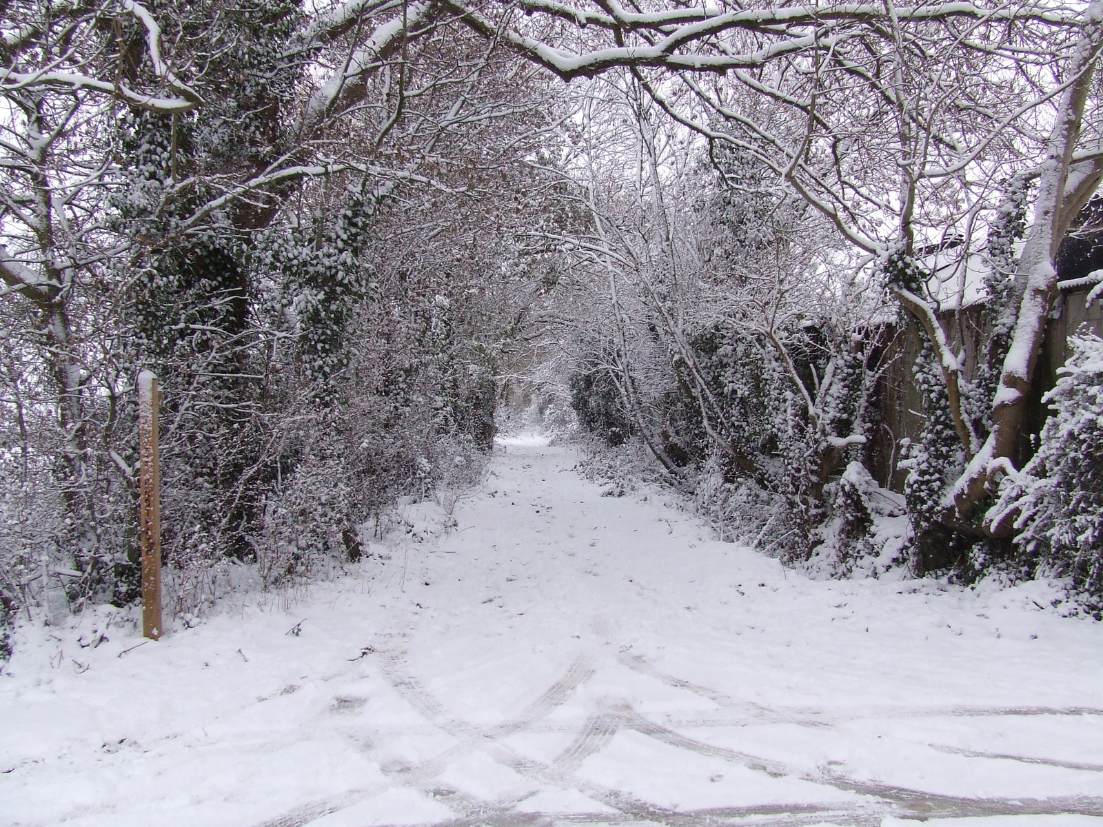 Catcott In Winter - Catcott Village Association