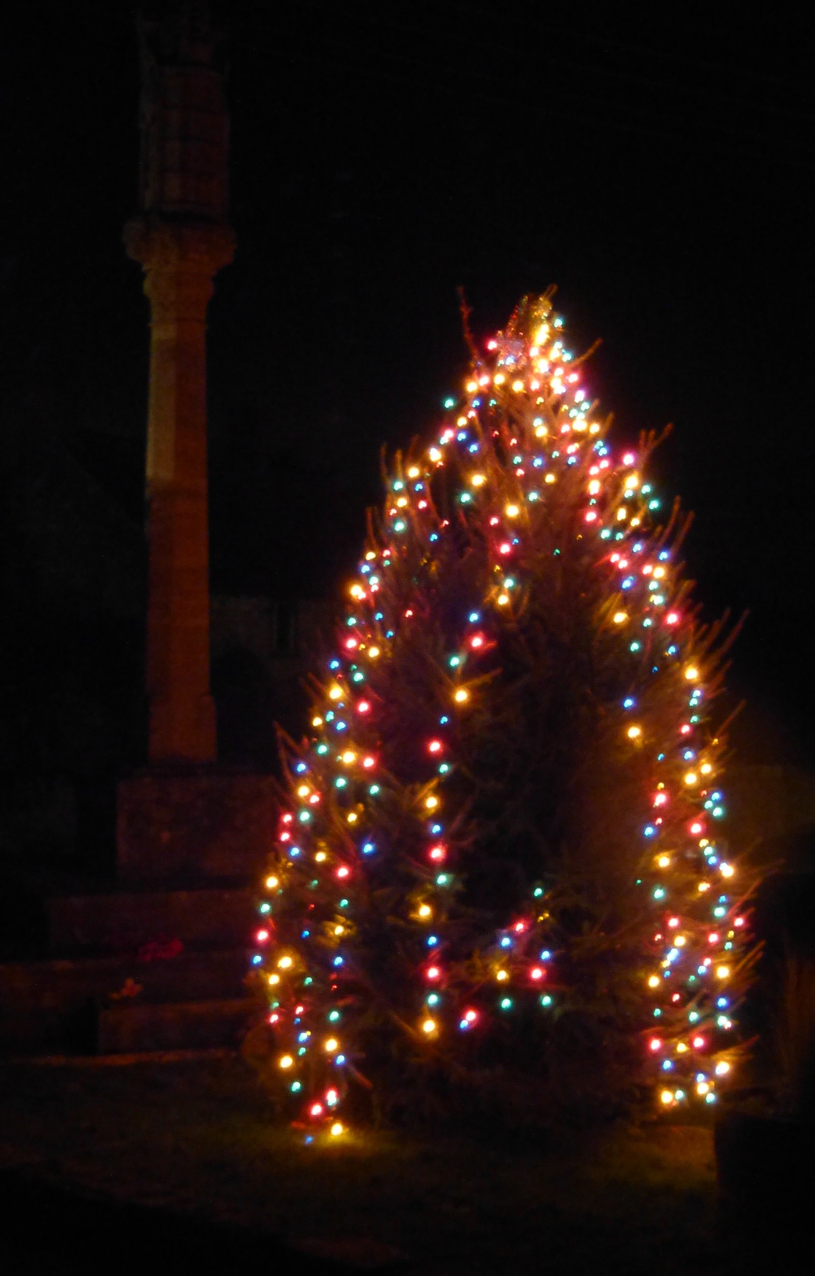 Catcott Christmas Tree 2017 - Catcott Village Association